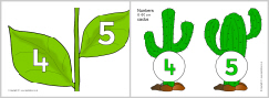 Numbers