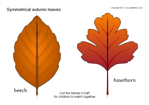 FREE Symmetry Primary Teaching Resources and Printables - SparkleBox