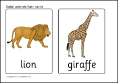 Animal Flash Cards Collection