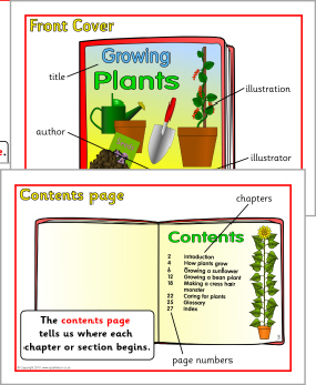 Information books posters (SB3414) - SparkleBox