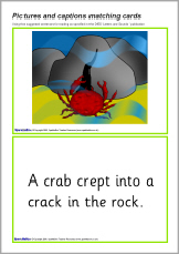 Phase 4 sentence and picture matching cards (SB1251) - SparkleBox