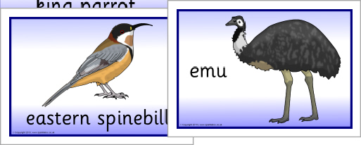 Australian birds posters (SB9688) - SparkleBox