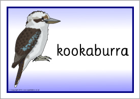 Australian birds posters (SB9688) - SparkleBox