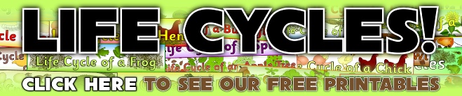 Primary School Topic Teaching Resources and printables - SparkleBox