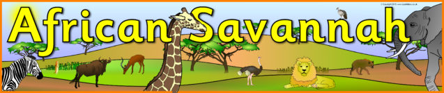 African Savanna A4 Page Borders Sb4445 Sparklebox