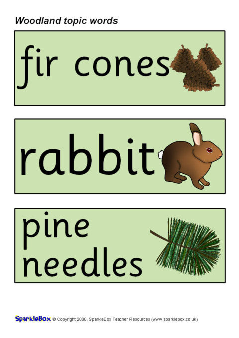 Woodland topic word cards (SB1556) - SparkleBox