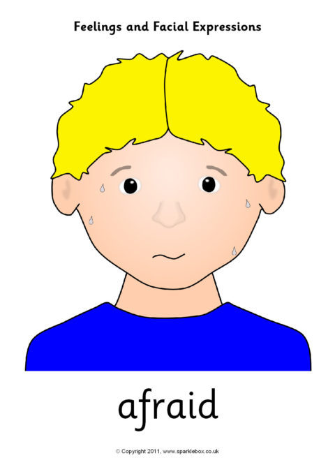 Quotyeah Rightquot Facial Expressions Expressions Facial